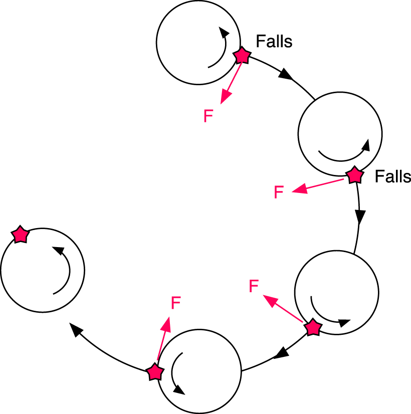 Curious behaviour of spinning coffee cups and other spinning objects ...