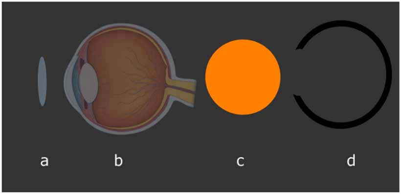 Development of a virtual teaching environment with Algodoo: ‘eye’ and ...