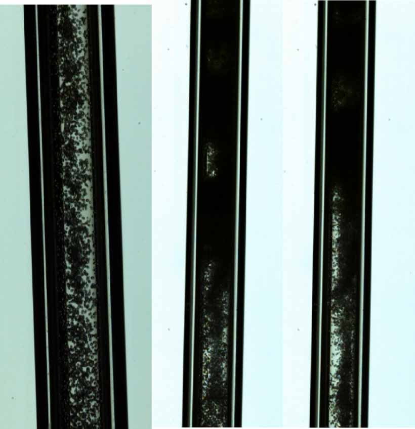 Gravity-driven granular flows in pipes: teaching experimental skills in ...