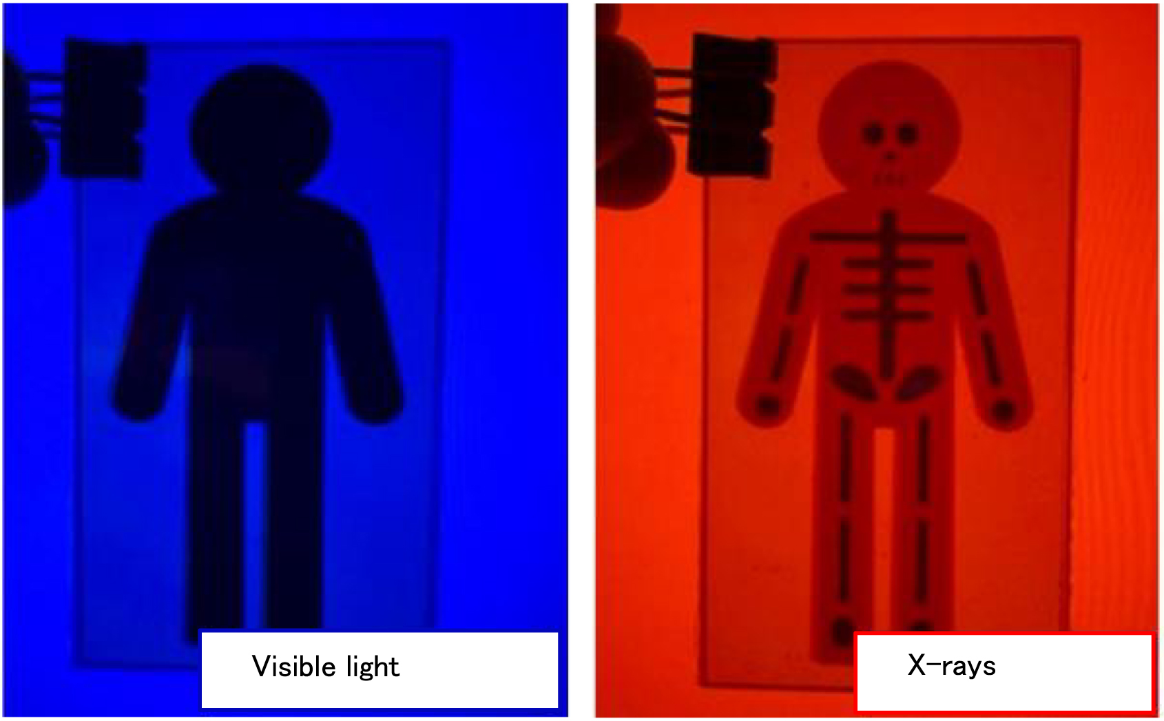 How to illustrate the principal of radiography using three ...