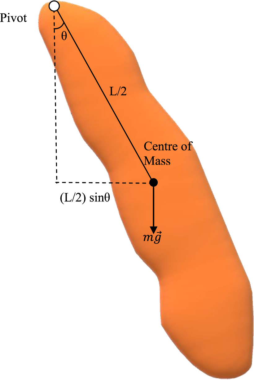 A physical pendulum experiment with Lego, Phyphox and Tracker - IOPscience
