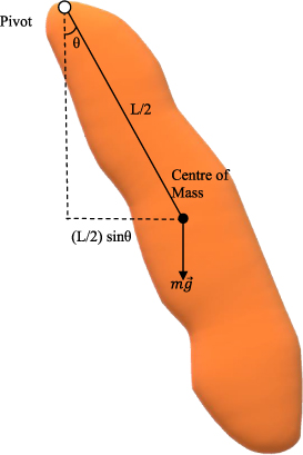 A physical pendulum experiment with Lego, Phyphox and Tracker - IOPscience