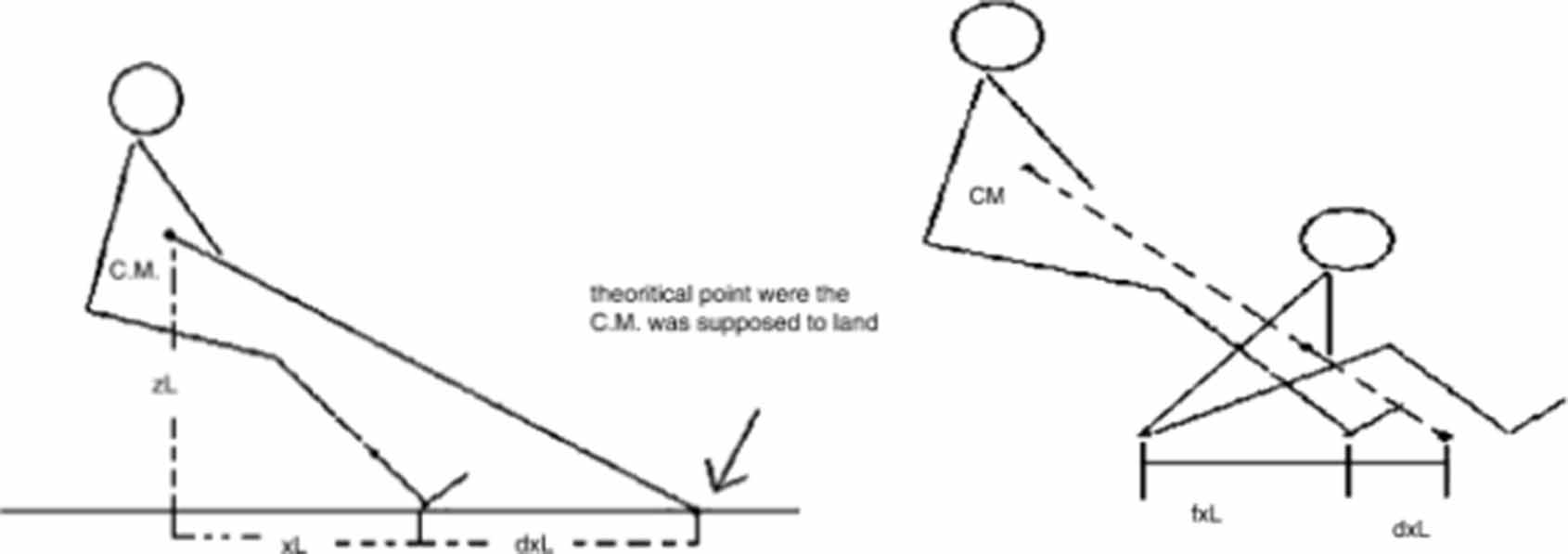 Dynamics of the flip long jump - IOPscience