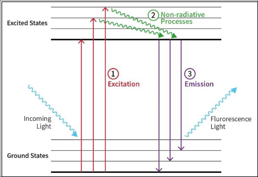 Teaching fluorescence of plants & algae in physics class to address ...
