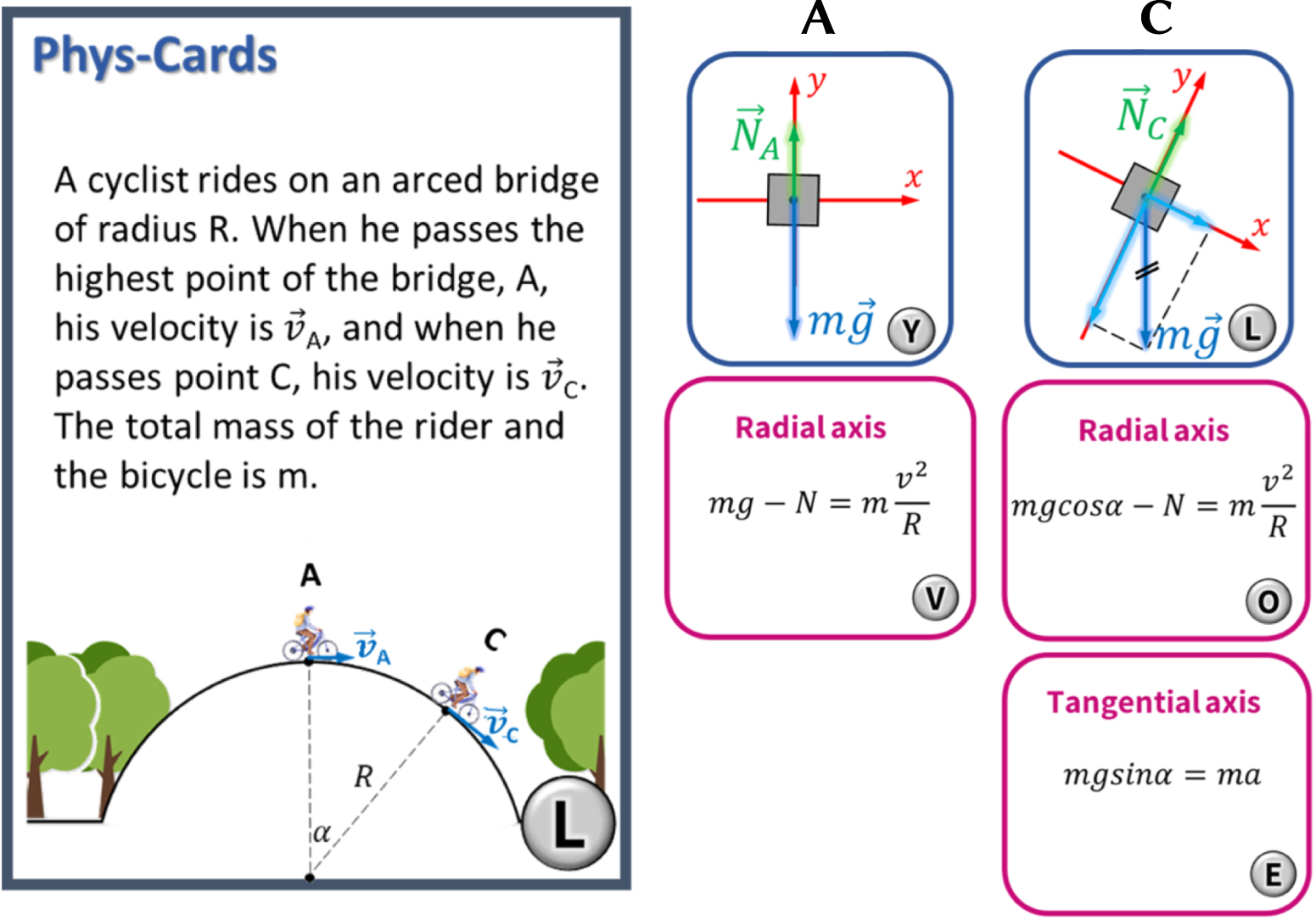 Physics card games to support knowledge organization: design ...