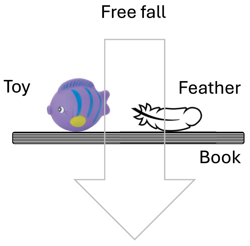 Weightlessness in a bottle - IOPscience