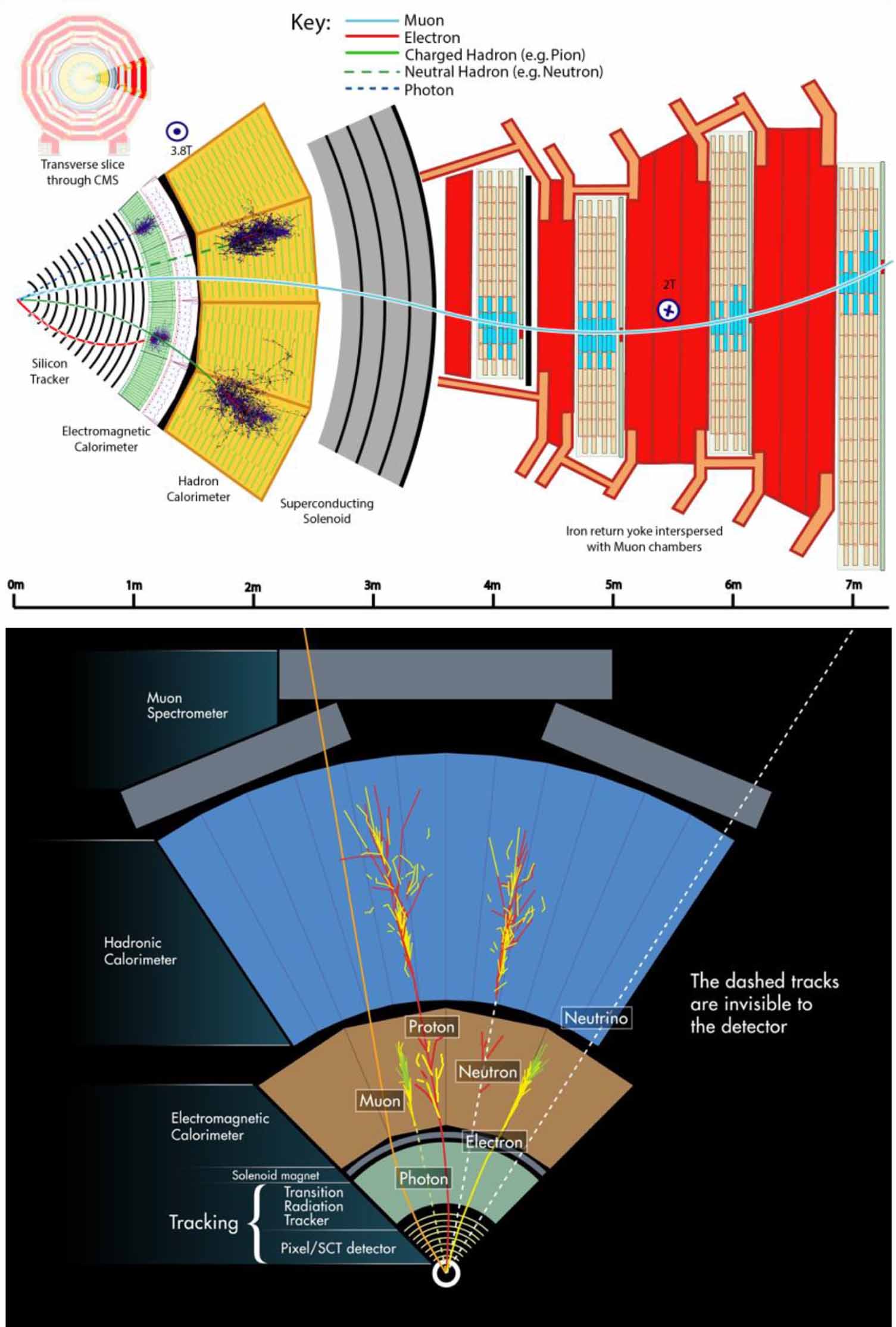 Introducing modern particle detectors in the classroom: a slice-by ...