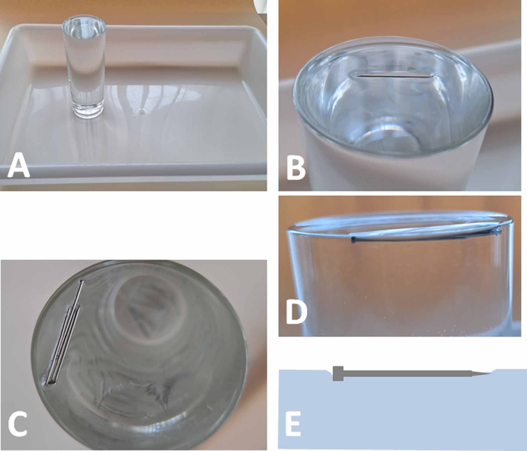 Physics with a glass of water - IOPscience
