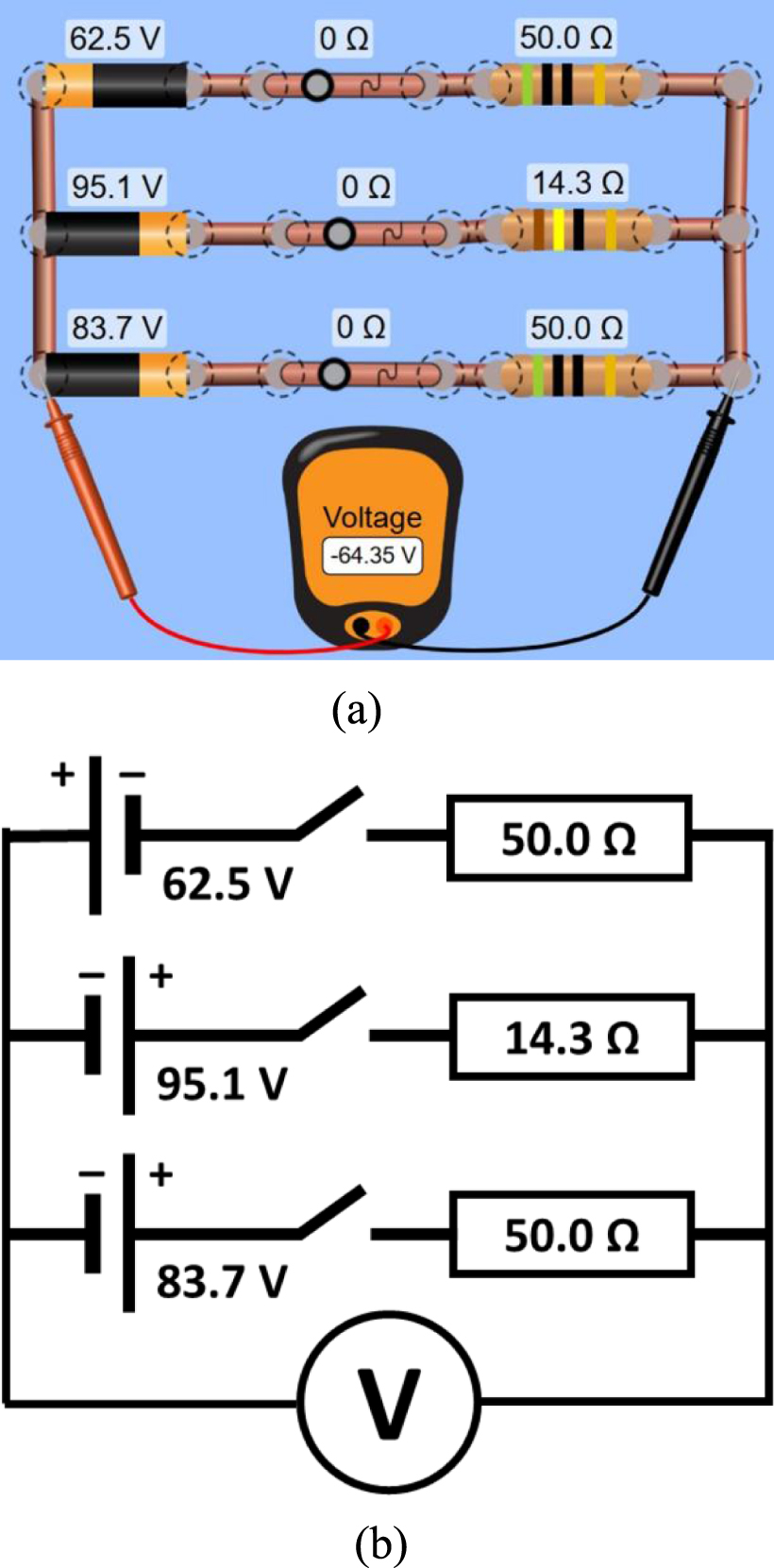Using physics simulation to understand the biology process of ion ...