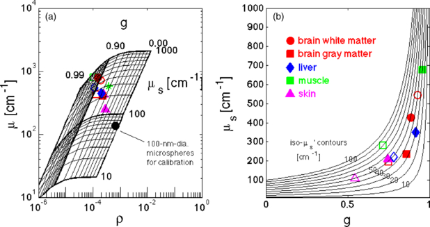 Optical properties of biological tissues: a review - IOPscience