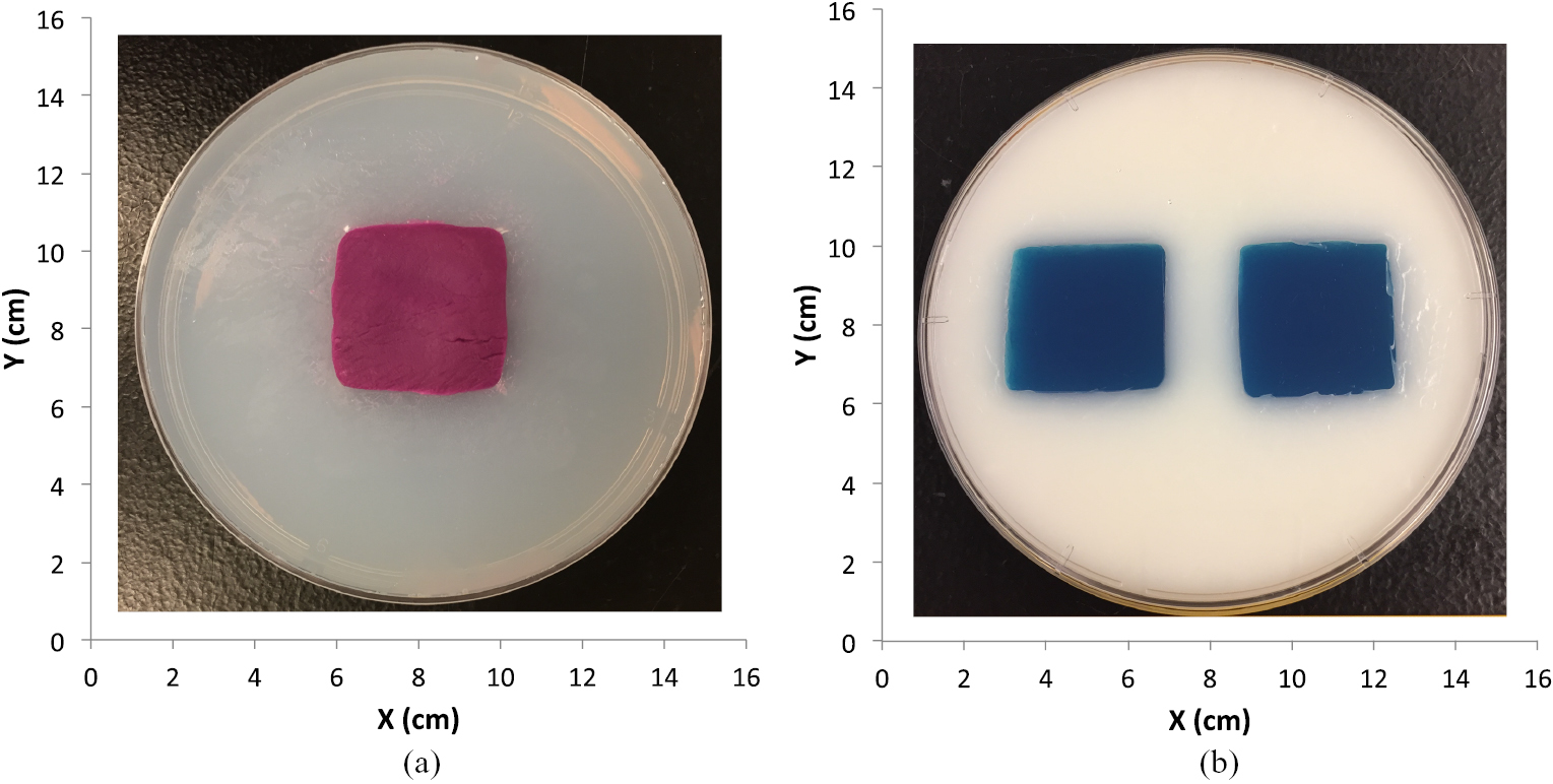 Coil geometry effects on scanning single-coil magnetic induction ...