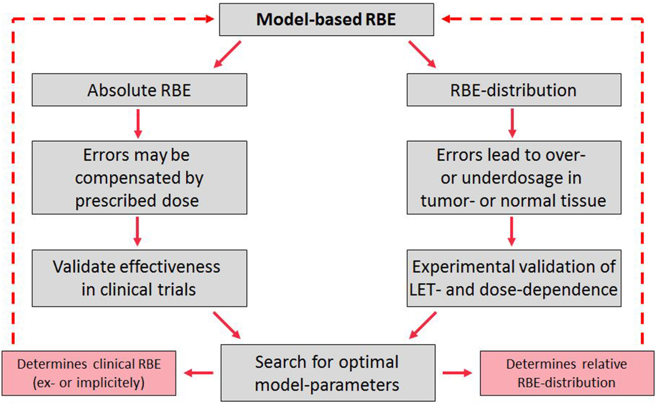 RBE and related modeling in carbon-ion therapy - IOPscience