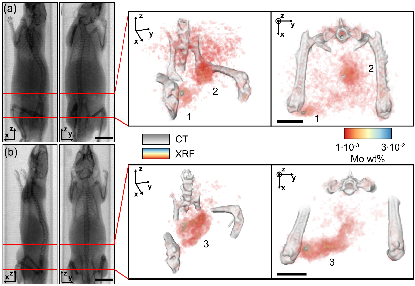 High-spatial-resolution x-ray fluorescence tomography with spectrally ...