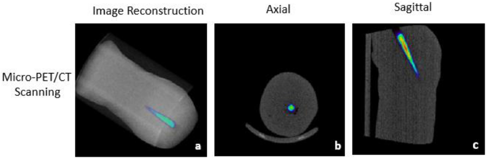 Fabrication of an anthropomorphic heterogeneous mouse phantom for ...