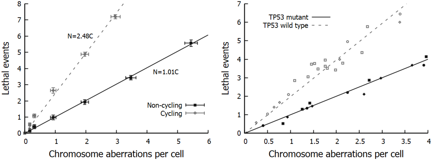 The linear quadratic model: usage, interpretation and challenges ...