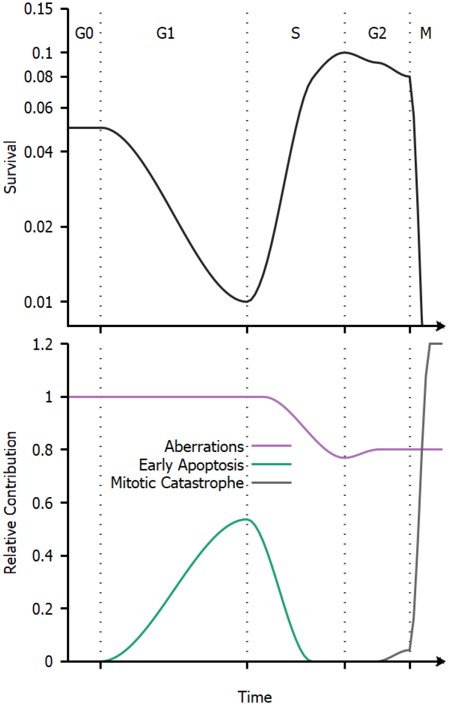 The linear quadratic model: usage, interpretation and challenges ...