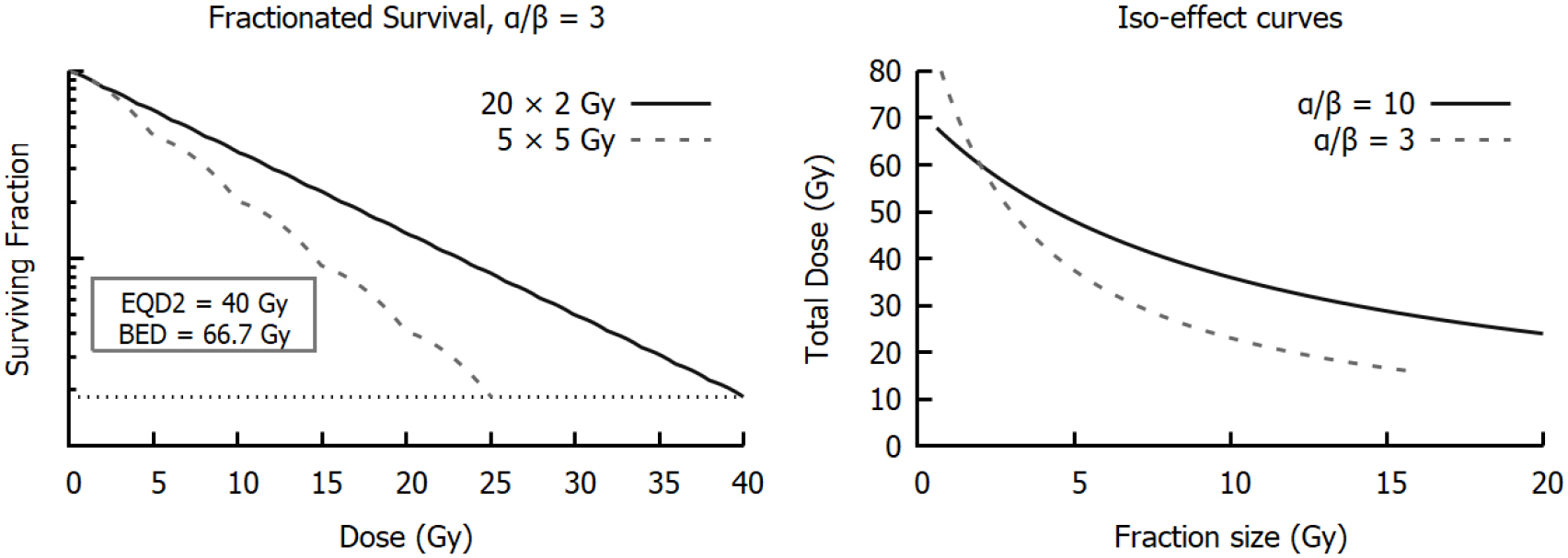 The linear quadratic model: usage, interpretation and challenges ...