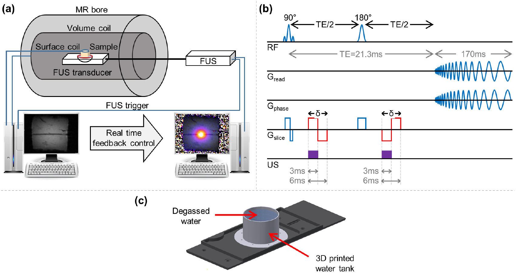 Acoustic radiation force imaging using a single-shot spiral readout ...