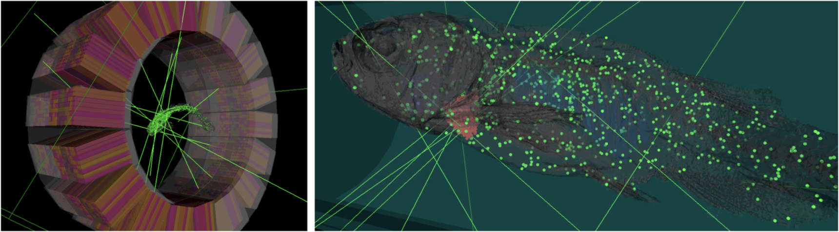 Advanced Monte Carlo simulations of emission tomography imaging systems with GATE - IOPscience