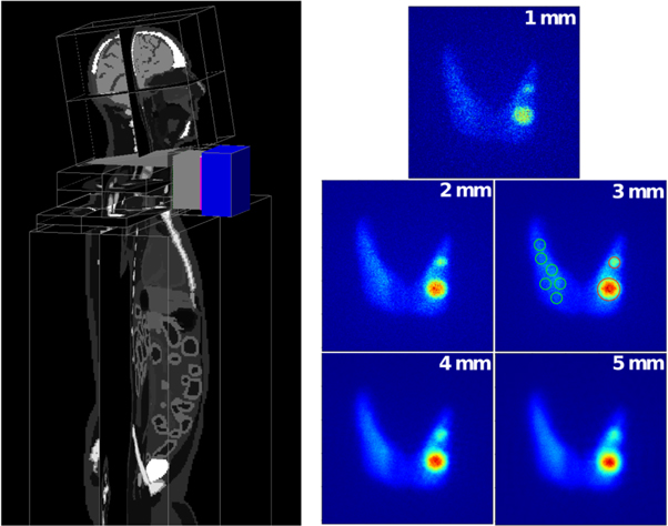 Advanced Monte Carlo simulations of emission tomography imaging systems with GATE - IOPscience
