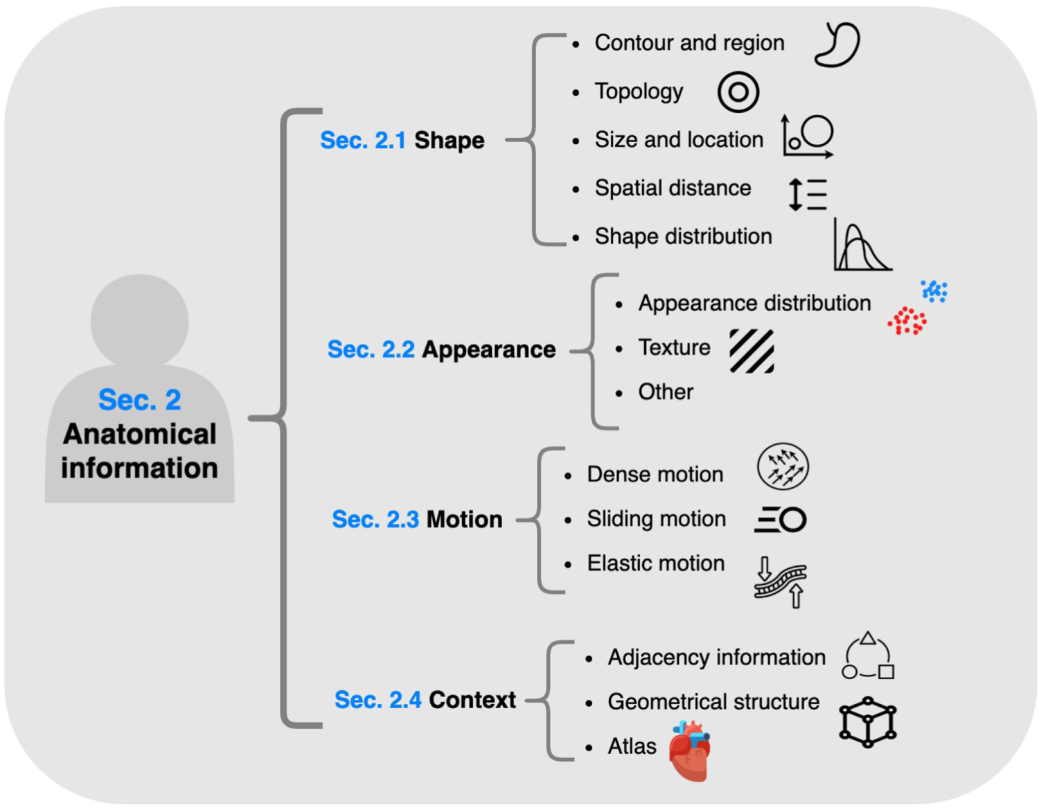 Anatomy-aided deep learning for medical image segmentation: a review ...