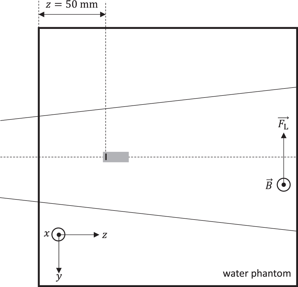 The dose response of PTW microDiamond and microSilicon in transverse magnetic field under small ...