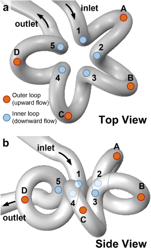 Helical toroid phantom for 3D flow imaging investigations - IOPscience