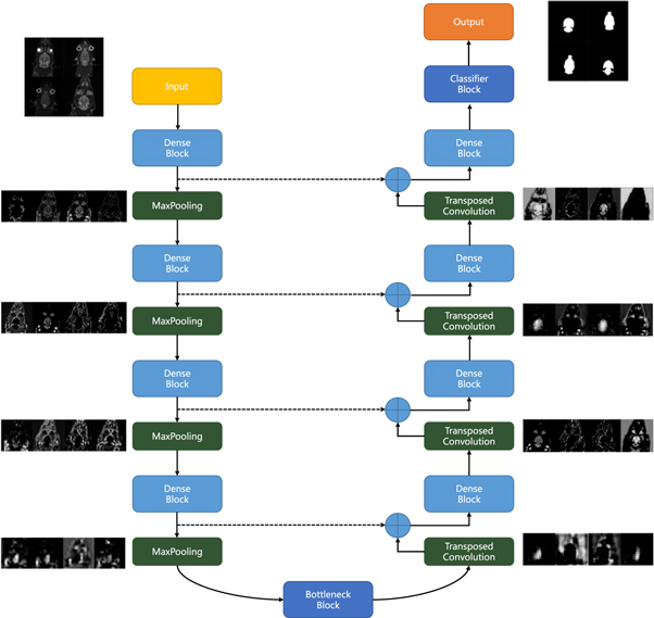 Automatic rat brain image segmentation using triple cascaded ...