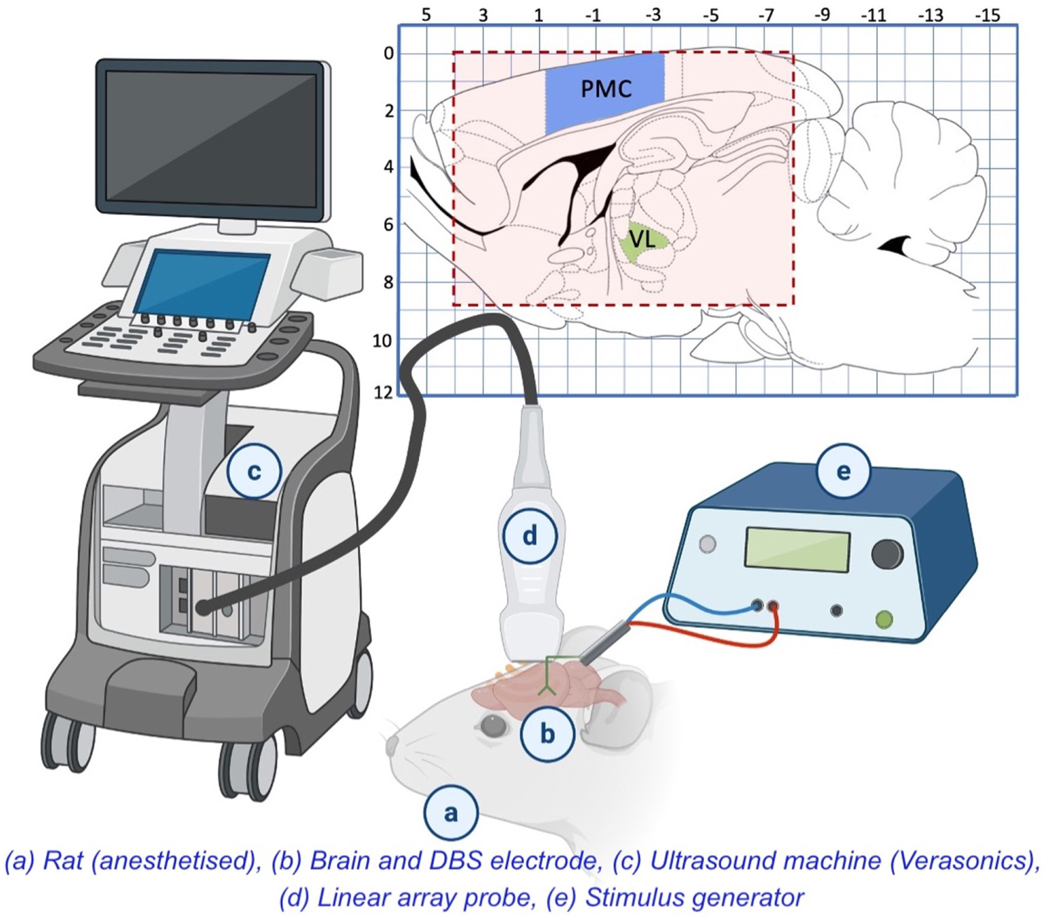 Imaging the response to deep brain stimulation in rodent using ...