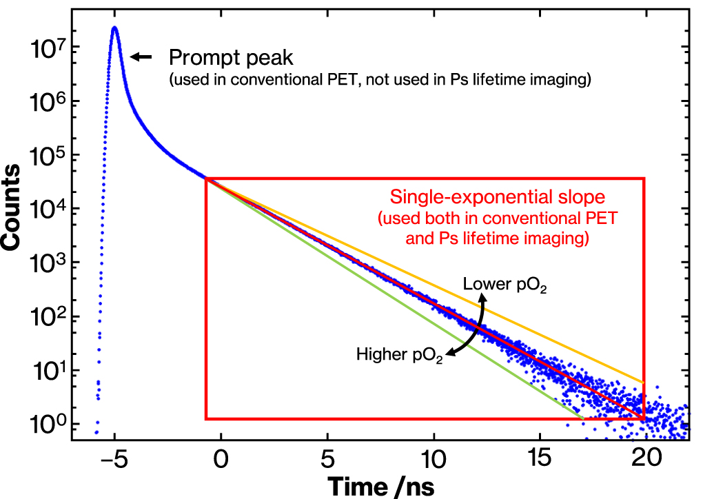 Using inverse Laplace transform in positronium lifetime imaging - IOPscience