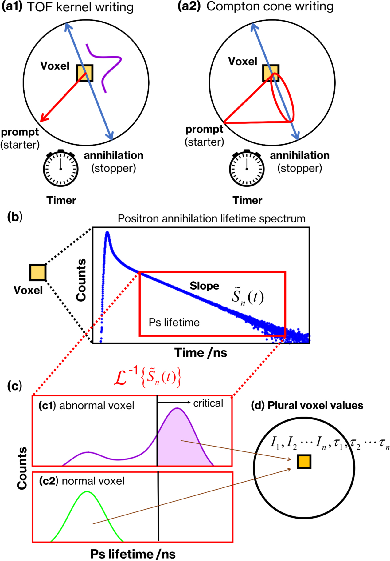 Using inverse Laplace transform in positronium lifetime imaging - IOPscience