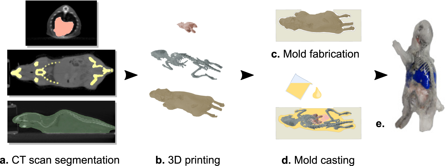 Fabrication and characterization of a multimodal 3D printed mouse ...