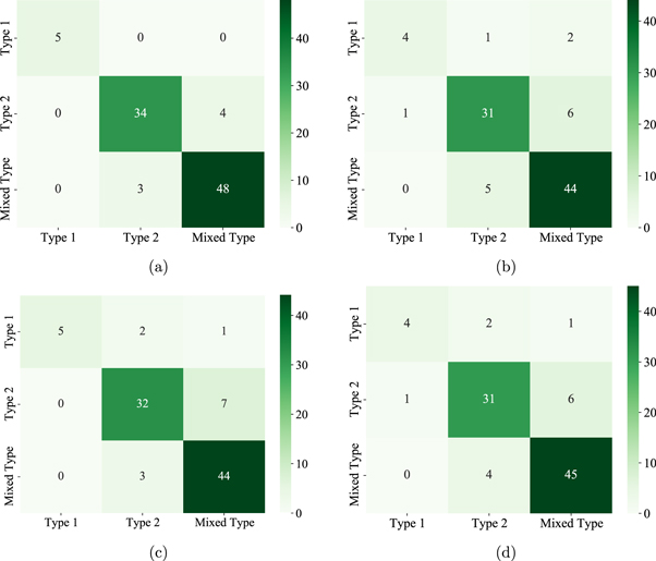 Feature enhancement network for CNV typing in optical coherence ...
