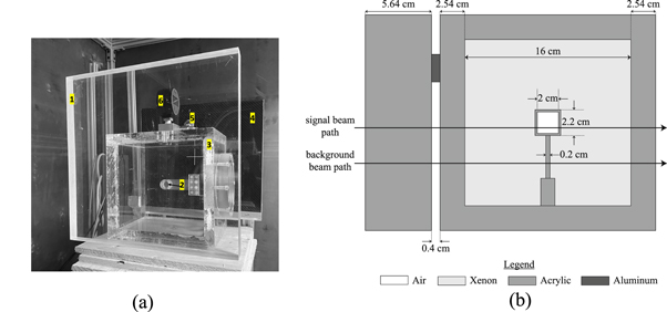 Experimental feasibility of xenon-enhanced dual-energy radiography for ...