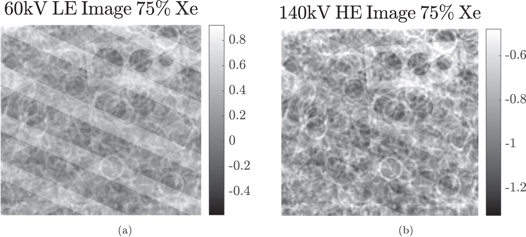 Experimental feasibility of xenon-enhanced dual-energy radiography for ...