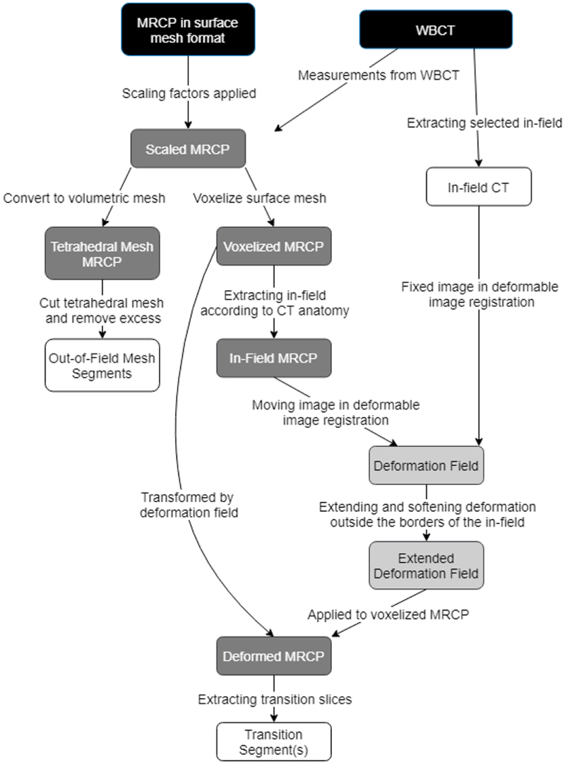 A patient-specific hybrid phantom for calculating radiation dose and ...