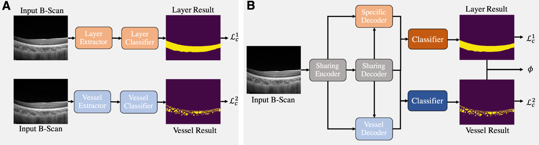 Synergistically segmenting choroidal layer and vessel using deep learning for choroid structure ...