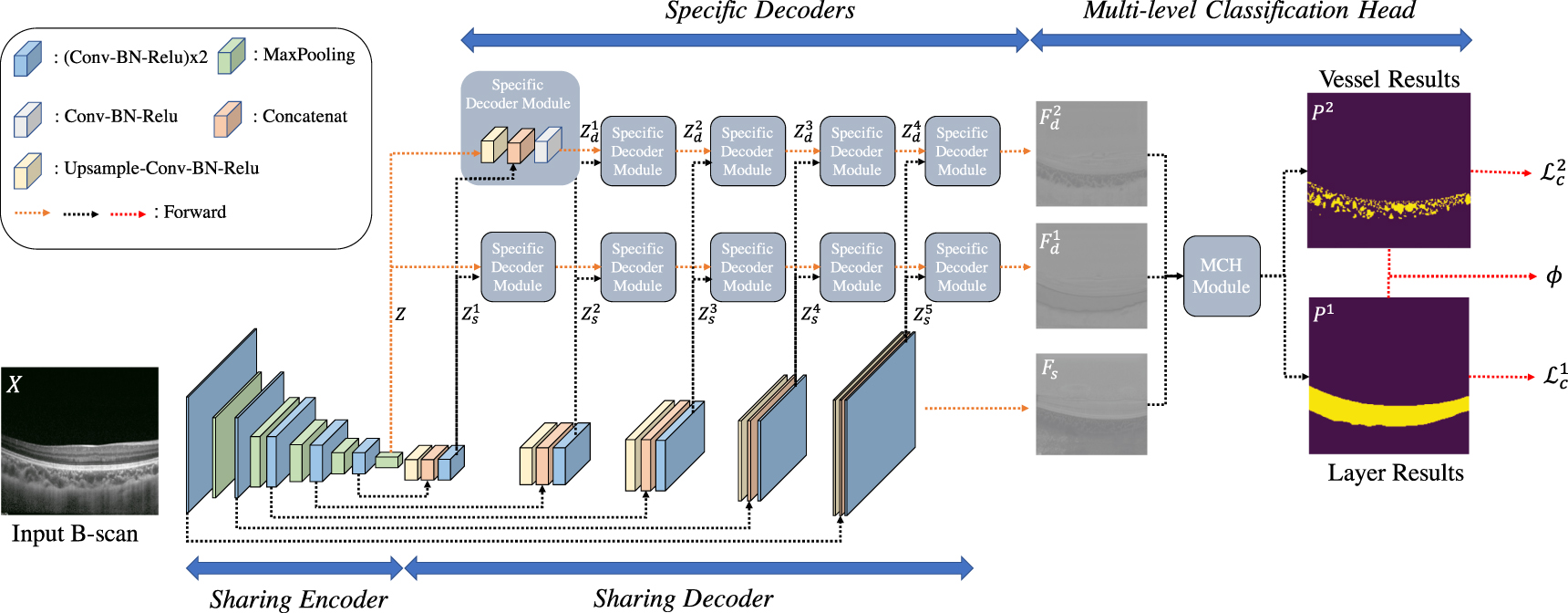 Synergistically segmenting choroidal layer and vessel using deep learning for choroid structure ...