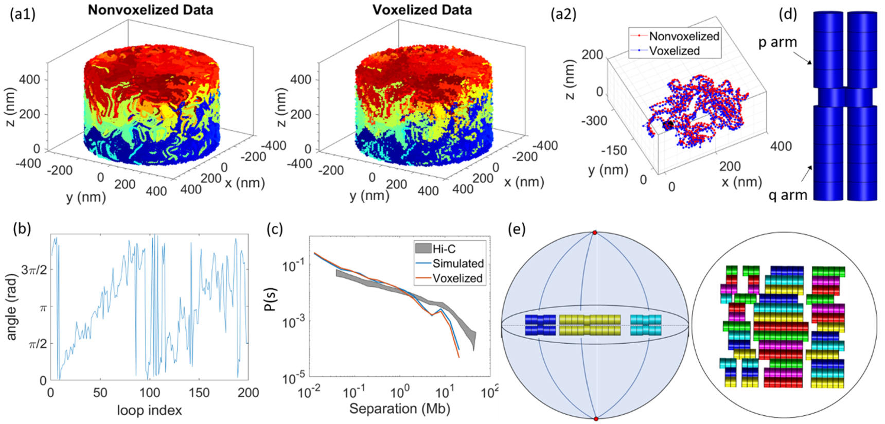 Development and implementation of a metaphase DNA model for ionizing ...