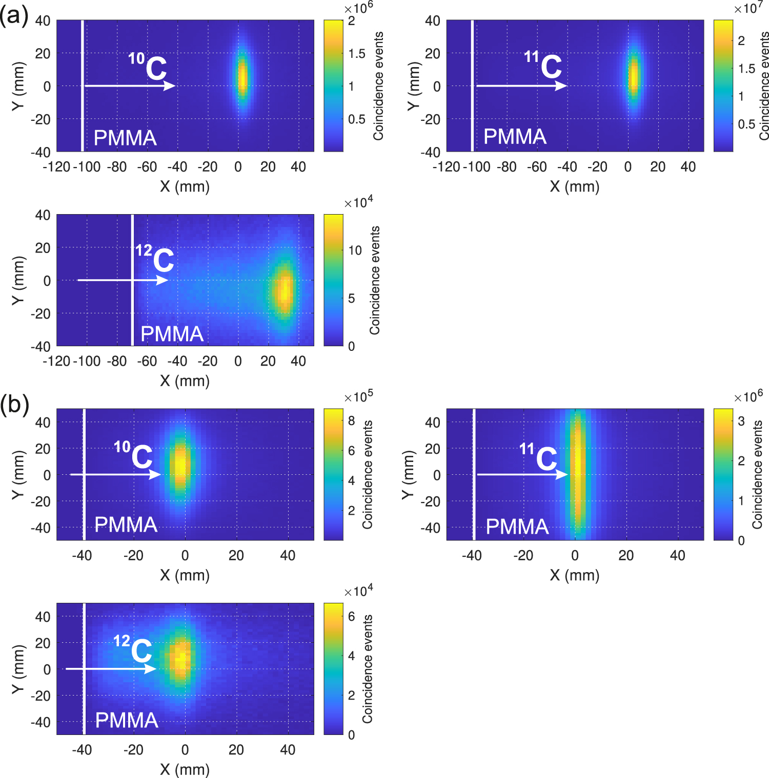 Precision of the PET activity range during irradiation with 10C, 11C, and 12C beams - IOPscience