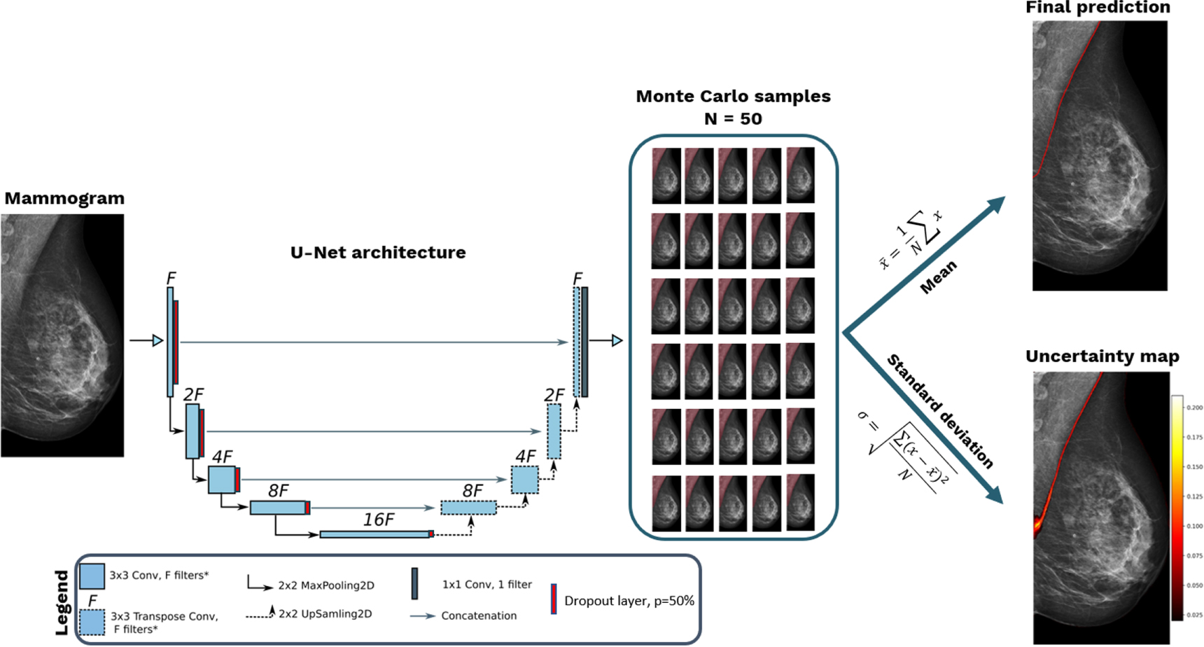 Uncertainty estimation for deep learning-based pectoral muscle ...