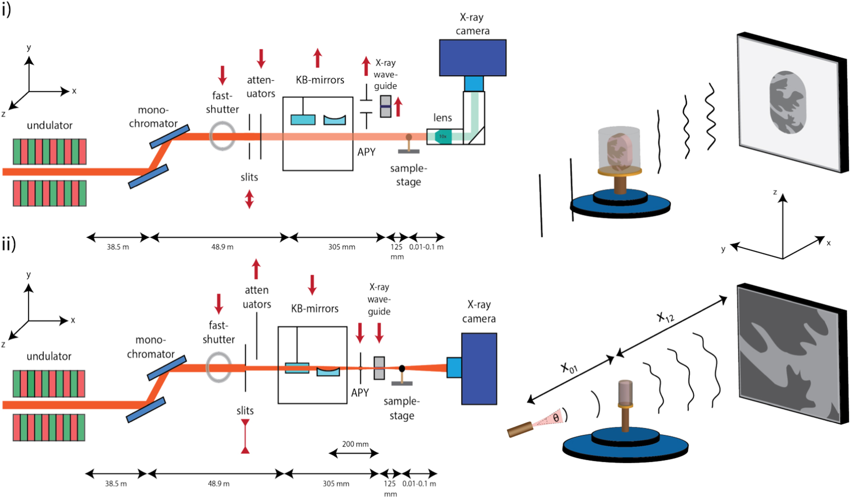 Human lung virtual histology by multi-scale x-ray phase-contrast ...