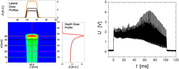The first PET glimpse of a proton FLASH beam - IOPscience