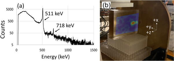 The first PET glimpse of a proton FLASH beam - IOPscience