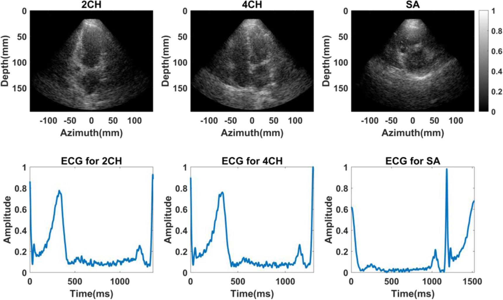 Constrained CycleGAN for effective generation of ultrasound sector ...