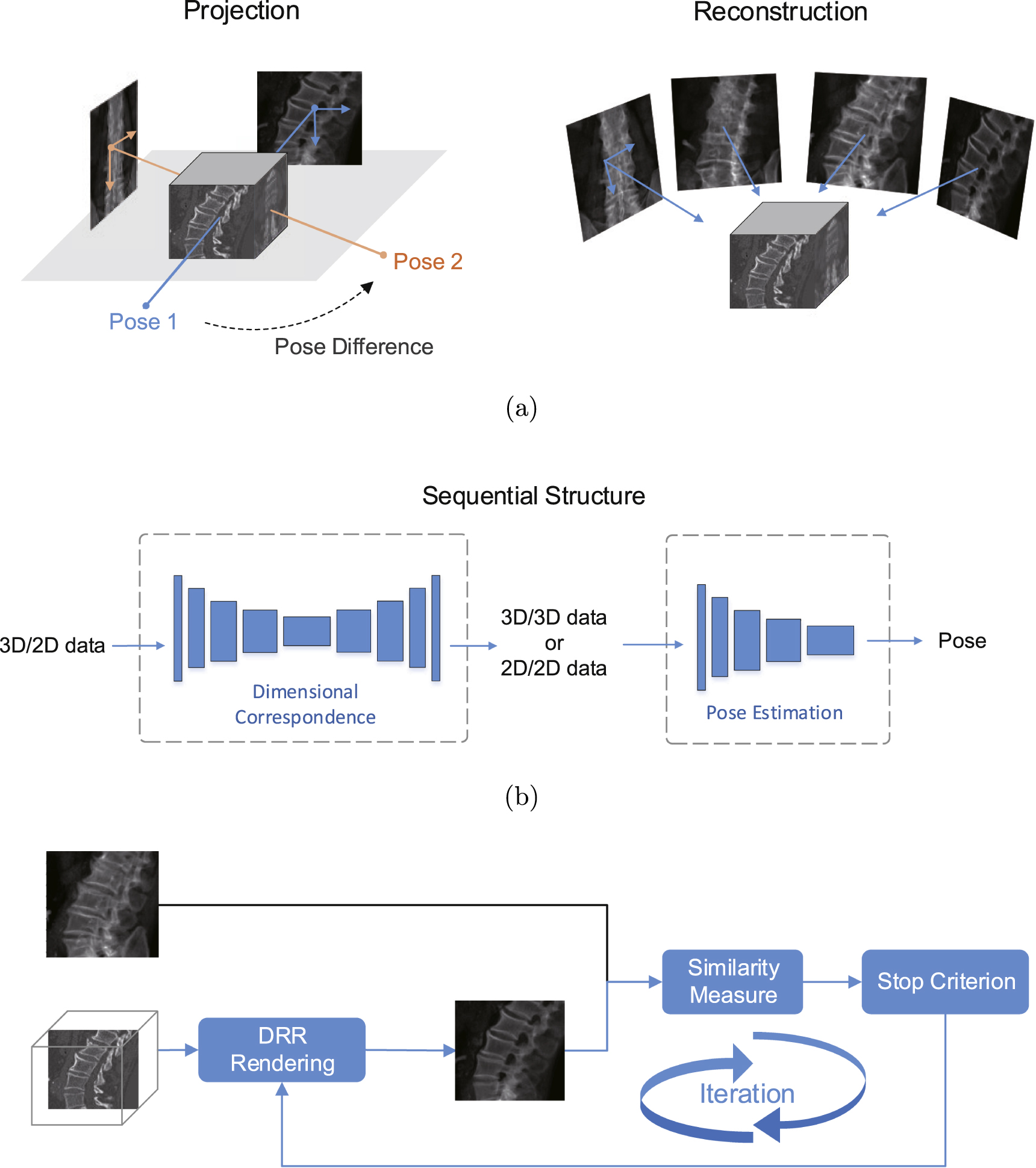 SGReg: segmentation guided 3D/2D rigid registration for orthogonal X ...