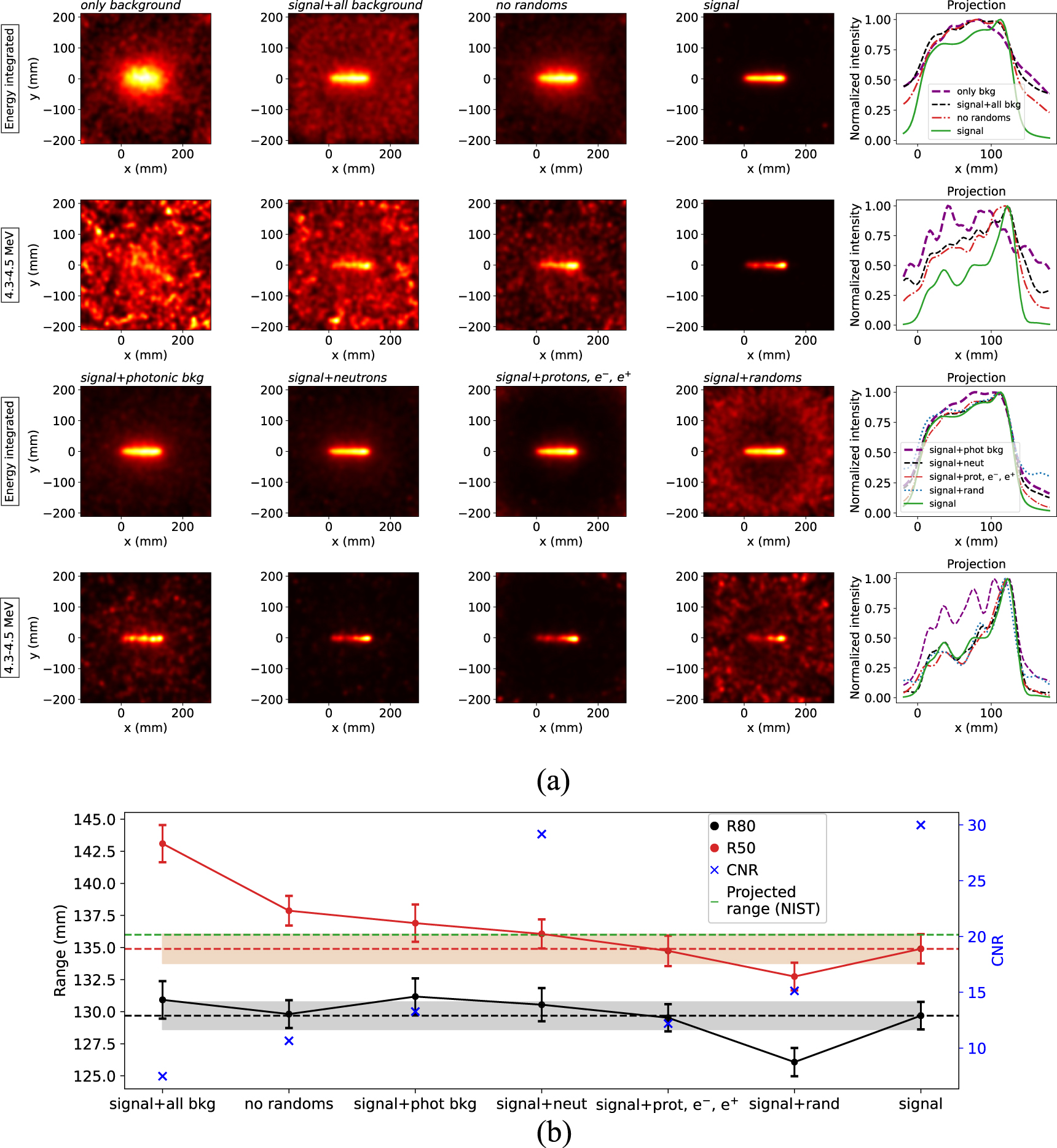 Influence of the background in Compton camera images for proton therapy ...