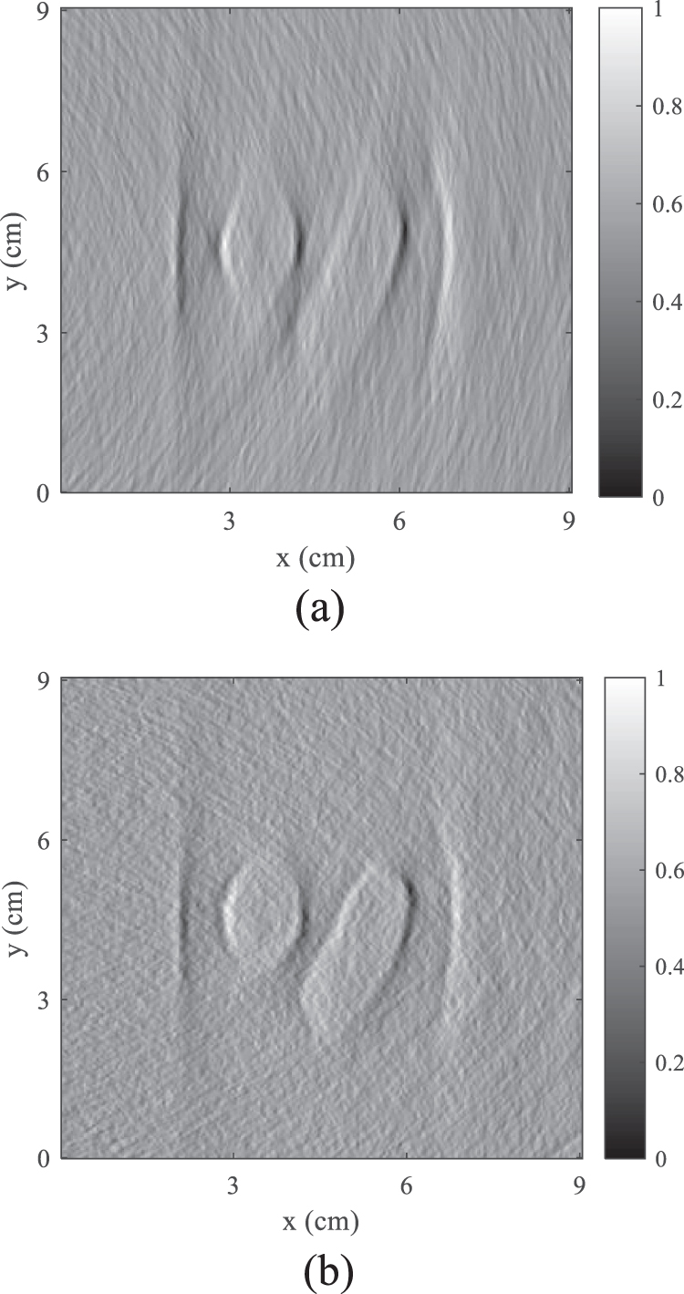 The application of a wavelet filtering method in magneto-acousto ...