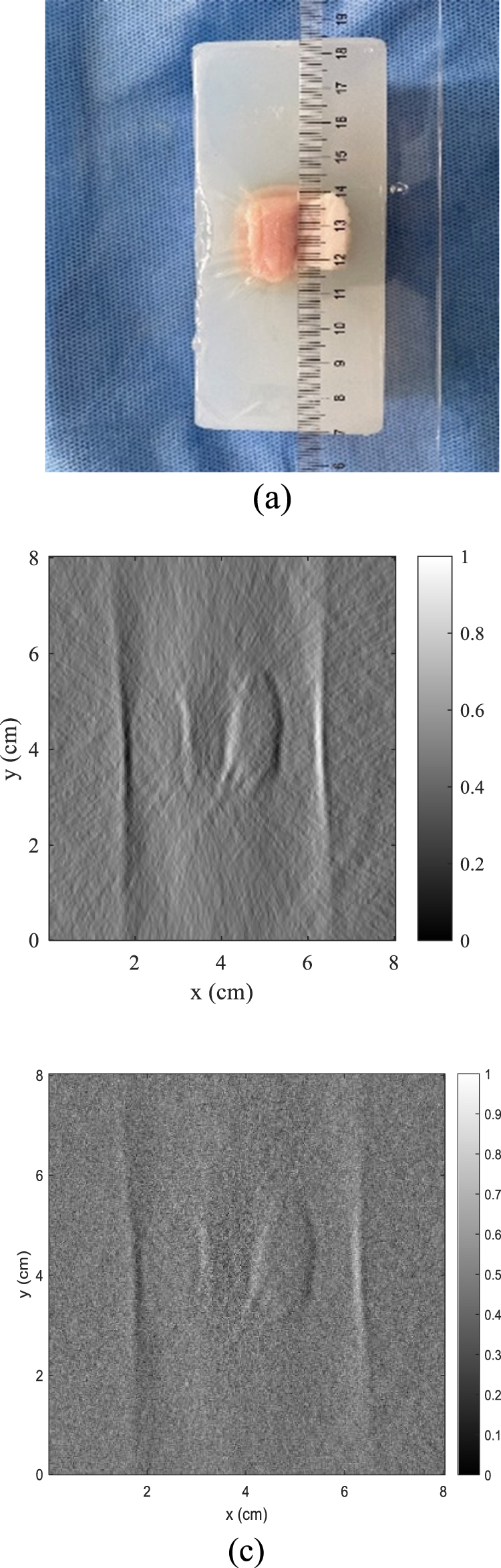 The application of a wavelet filtering method in magneto-acousto ...