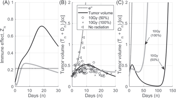 Radio-immune response modelling for spatially fractionated radiotherapy ...